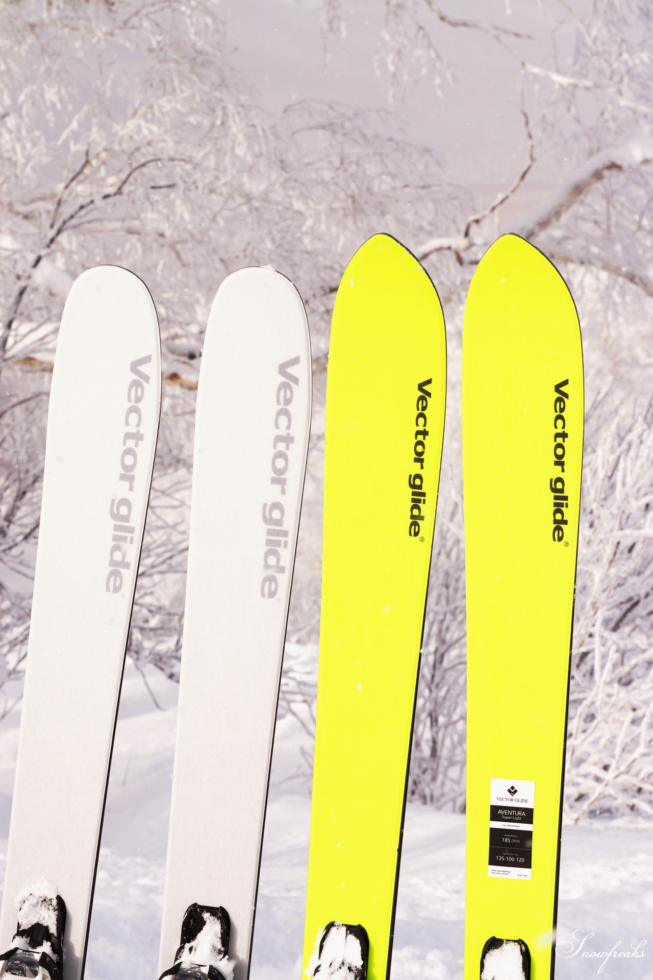 VECTOR GLIDE DEMO TOUR 2019 -GLIDE ON GROOVE- KIRORO 開幕。 | 北海道雪山情報 ...