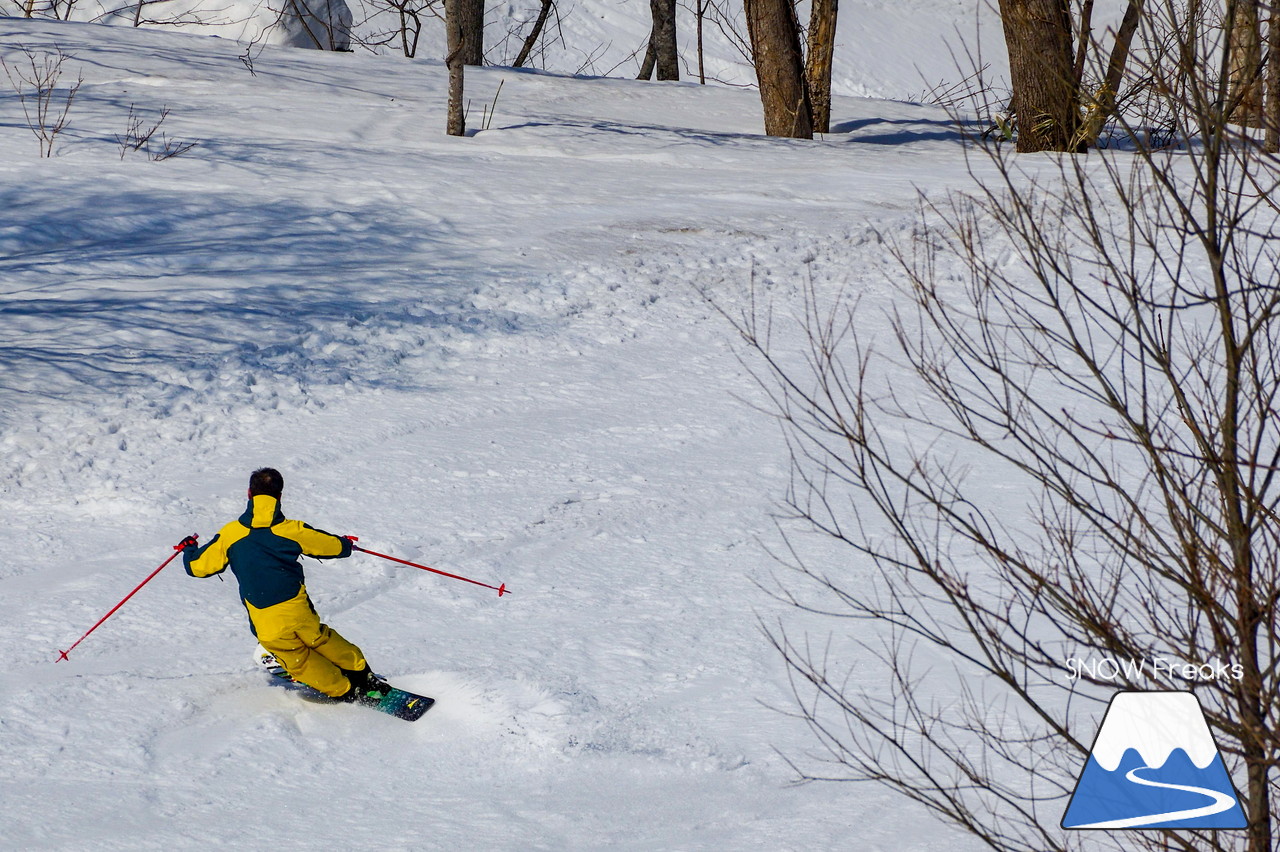 ブルーモリス Blue Lab Project：グラフィックデザインは、吉田尚弘DKC。 祝・New『RAPTOR』お披露目です♪ in ...