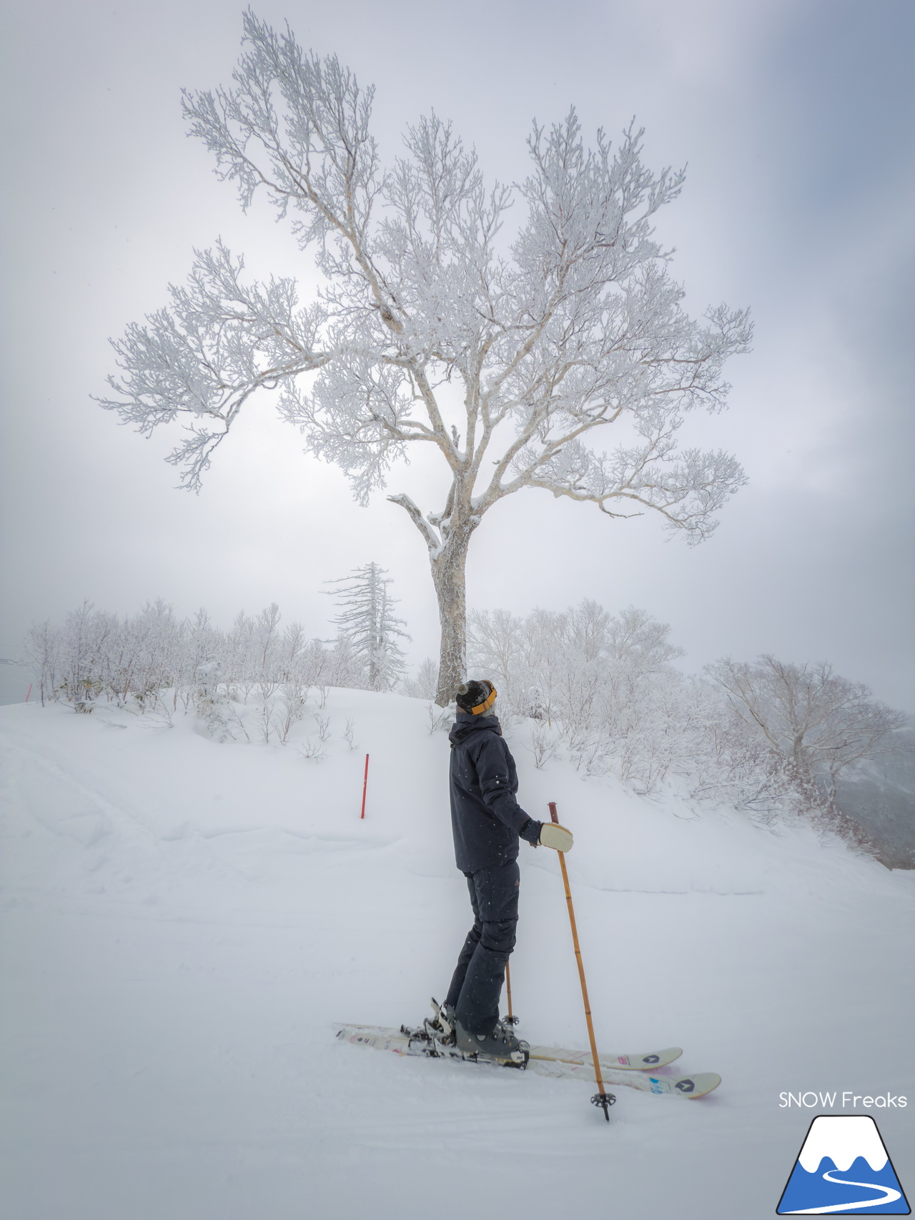 キロロリゾート｜遅ればせながら…。積雪200cmのキロロで、2025～2026 SNOW Freaks『初滑り』。今シーズンもどうぞよろしくお ...