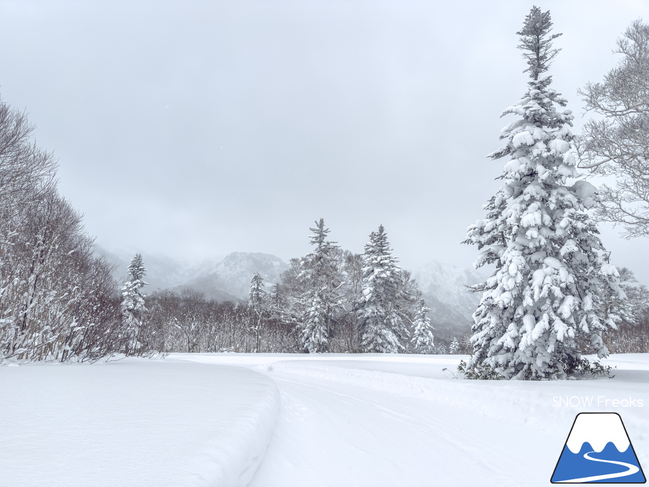 キロロリゾート｜遅ればせながら…。積雪200cmのキロロで、2025～2026 SNOW Freaks『初滑り』。今シーズンもどうぞよろしくお ...