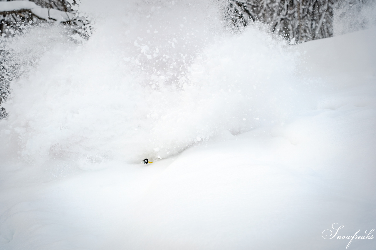 片岡嵩弥 - Takaya Kataoka - Powder Photo Session 2026 in ASARI ｜北海道雪山情報 ...